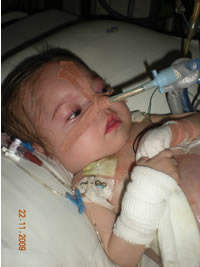 :: Leah Marx Trust Fund, The first time I saw her I was overwhelmed ...