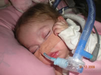 :: Leah Marx Trust Fund, The first time I saw her I was overwhelmed ...