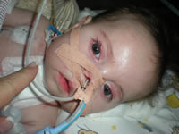 :: Leah Marx Trust Fund, The first time I saw her I was overwhelmed ...