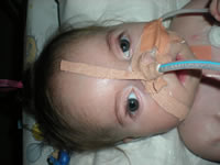 :: Leah Marx Trust Fund, The first time I saw her I was overwhelmed ...