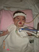 :: Leah Marx Trust Fund, The first time I saw her I was overwhelmed ...