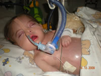 :: Leah Marx Trust Fund, The first time I saw her I was overwhelmed ...